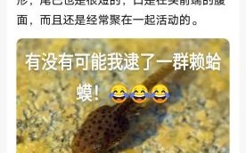 癞蛤蟆睡青蛙_癞蛤蟆和青蛙的区别