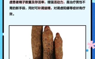 锁阳的功效与作用价格_锁阳多少钱一斤