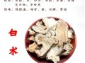 麸炒白术的功效与作用_麸炒白术的禁忌有哪些