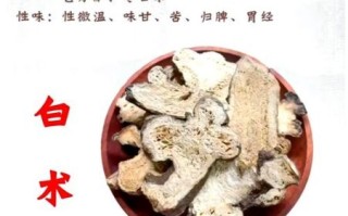 麸炒白术的功效与作用_麸炒白术的禁忌有哪些
