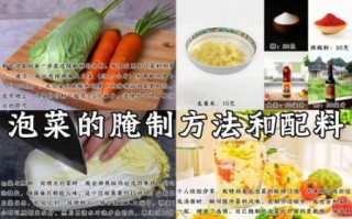 泡菜怎么腌制_泡菜的做法大全