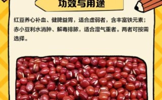 赤小豆是不是红豆_赤小豆与红豆区别 赤小豆是不是红豆_赤小豆与红豆区别