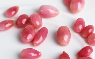 海螺珠是什么_海螺珠值钱吗