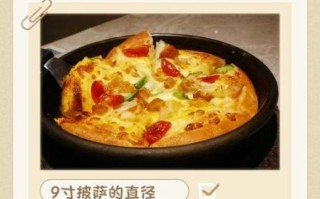 九寸披萨面积是多少平方厘米_适合几人吃