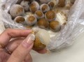龙眼吃多了会上火吗_龙眼一天吃多少合适