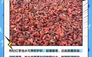 苟杞的功效与作用有哪些_苟杞怎么吃效果最好