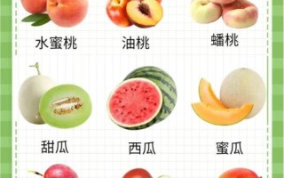 夏天吃什么水果好_夏季如何健康饮食