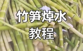 炒竹笋前用焯水吗_竹笋焯水几分钟
