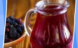 桑葚酒正宗制作方法_桑葚酒怎么做不苦涩