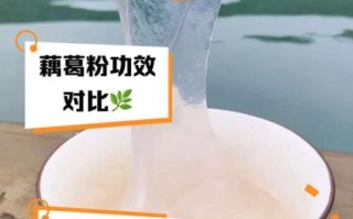 葛根粉和藕粉的区别_哪个更适合减肥