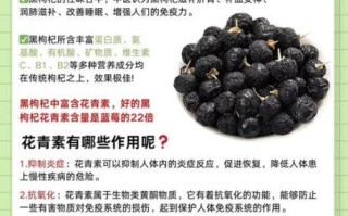 野生黑枸杞的功效与作用_适合哪些人吃