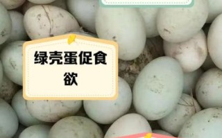 绿皮鸡蛋和普通鸡蛋的区别_绿皮鸡蛋营养价值高吗