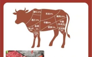 牛柳是牛的哪个部位_牛柳和里脊的区别