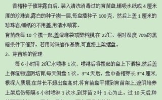 香椿芽的营养价值_香椿芽怎么吃最有营养