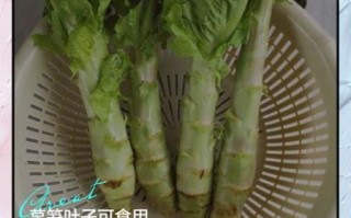 莴笋叶子能吃吗_莴笋叶子怎么炒好吃