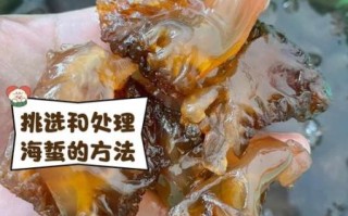 吃海蜇的禁忌有哪些_海蜇不能和什么一起吃