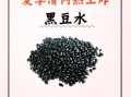 煮黑豆容易烂窍门_黑豆怎么煮软烂不硬芯