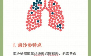 南沙参的功效与作用_南沙参和北沙参的区别