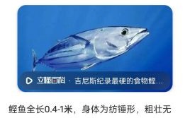 鲣怎么读_鲣鱼是什么鱼