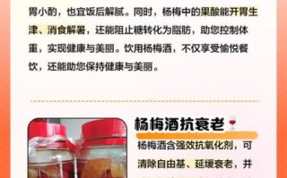 杨梅酒的做法_杨梅酒的功效与作用