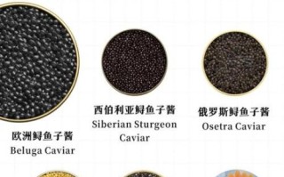 鱼子怎么做最好吃_鱼子酱的正确吃法