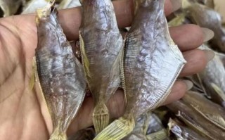 扒皮鱼怎么做好吃_扒皮鱼做法视频教学