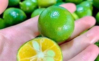 青柠檬泡水喝能减肥吗_青柠檬水的正确喝法