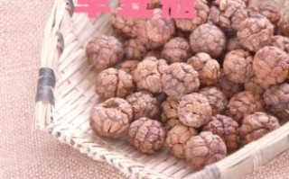 草豆蔻的功效与作用_草豆蔻的禁忌有哪些