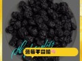 蓝莓的功效与作用_蓝莓怎么吃效果最好