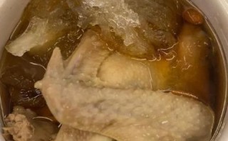 鸽子蛋炖燕窝怎么做_鸽子蛋炖燕窝的功效与禁忌