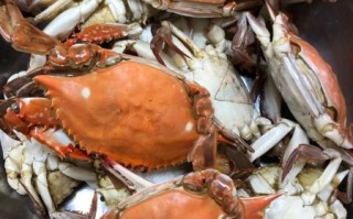 清蒸大闸蟹怎么做_清蒸大闸蟹家常做法