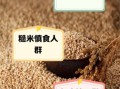 糙米哪些人不能吃_三种人不宜吃糙米