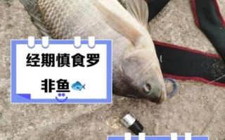 罗非鱼什么人不能吃_罗非鱼吃多了有什么副作用