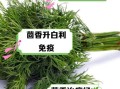 茴香菜的功效与作用有哪些_孕妇能吃茴香菜吗