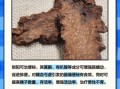锁阳怎么吃壮阳最快_锁阳壮阳的正确吃法