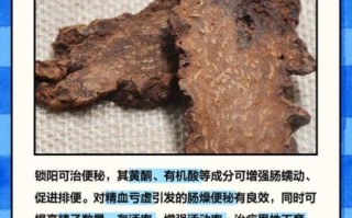 锁阳怎么吃壮阳最快_锁阳壮阳的正确吃法