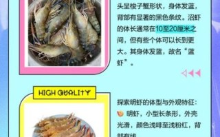 明虾和基围虾的区别_哪个更好吃