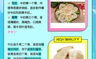 牛肚是什么_牛肚和毛肚的区别