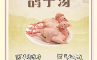 鸽子汤的功效与作用_鸽子汤的禁忌有哪些