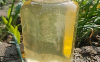30块一斤的洋槐蜜真吗_洋槐蜜真假辨别方法
