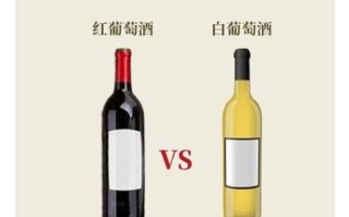 红葡萄酒与白葡萄酒的区别在哪里_酿造工艺差异