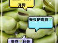 蚕豆的营养价值及功效与作用_蚕豆吃多了会上火吗
