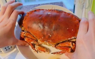 面包蟹蒸多长时间_蒸面包蟹需要多久