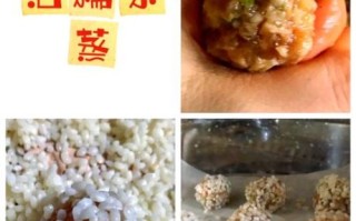 珍珠的做法_珍珠的配方