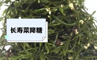 海藻长寿菜的功效与作用_怎么吃最养生