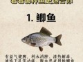 高血压能吃鱼吗_高血压患者适合吃什么鱼