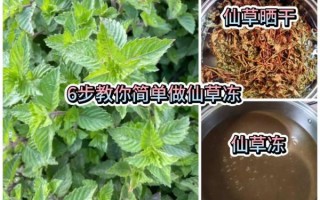 仙草汁怎么做成仙草冻_仙草冻做法步骤