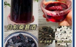 自制桑葚酒的做法_桑葚酒发酵多久可以喝