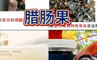 腊肠果怎么吃_腊肠果功效最好方法