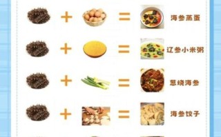 海参的正确吃法_海参怎么吃最营养